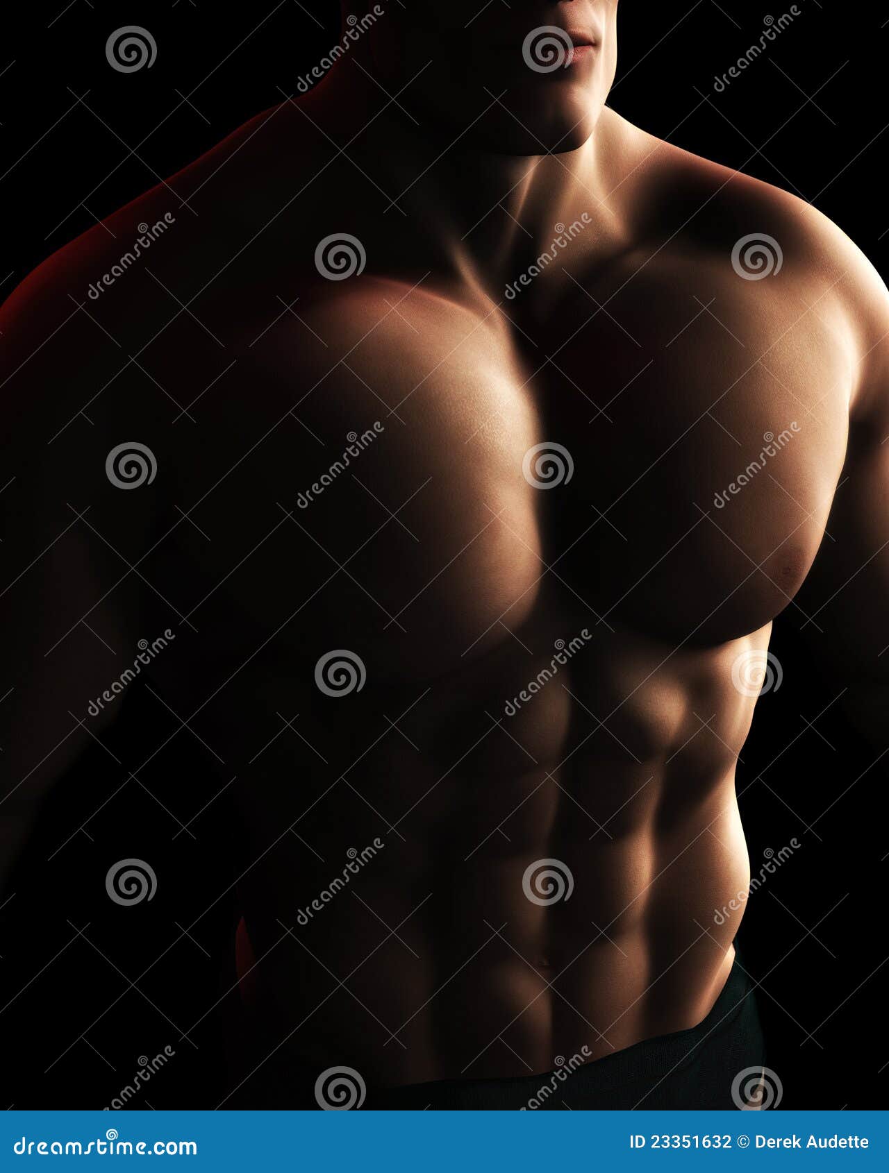 Male BodyBuilder Torso Digital Illustration Stock Illustration ...