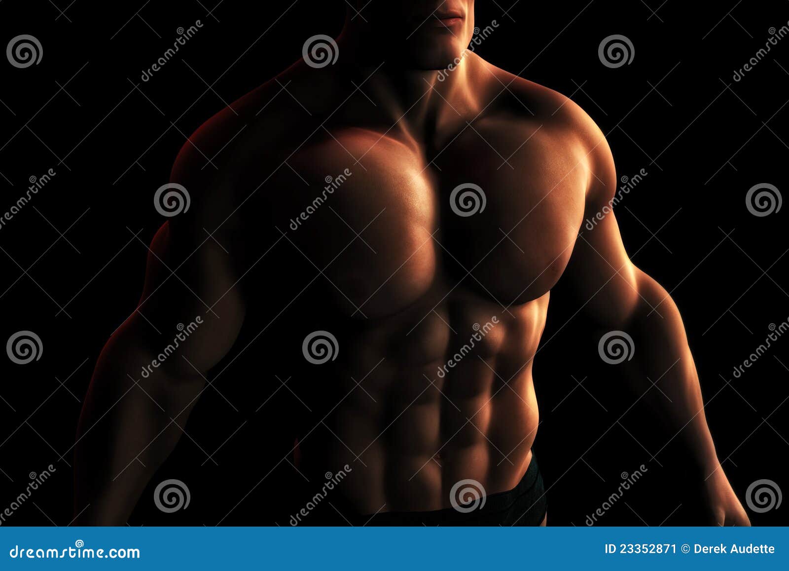 Male BodyBuilder Torso Digital Illustration Stock Illustration ...