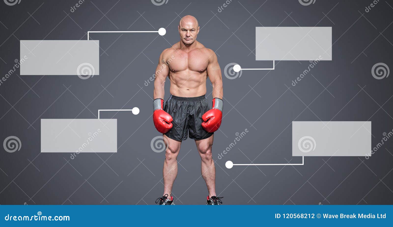 Male Boxer with Blank Infographic Chart Panels Stock Photo - Image of ...