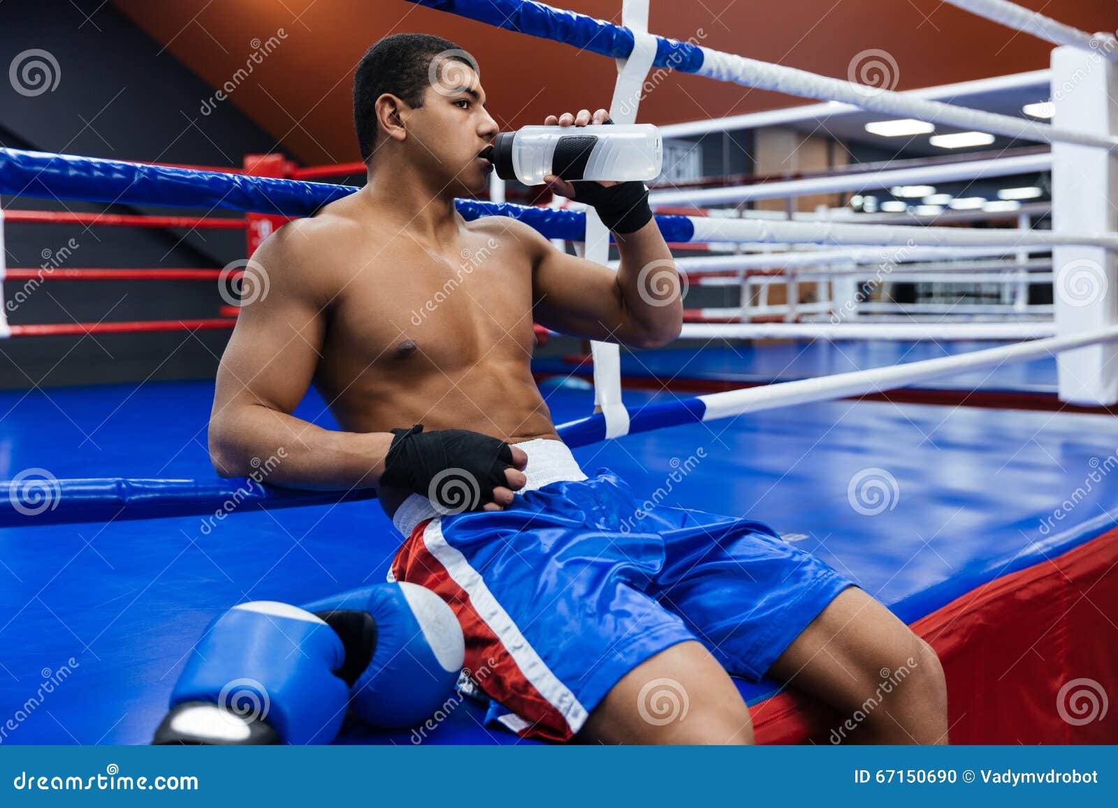 Male boxer drinking water stock photo. Image of professional - 67150690