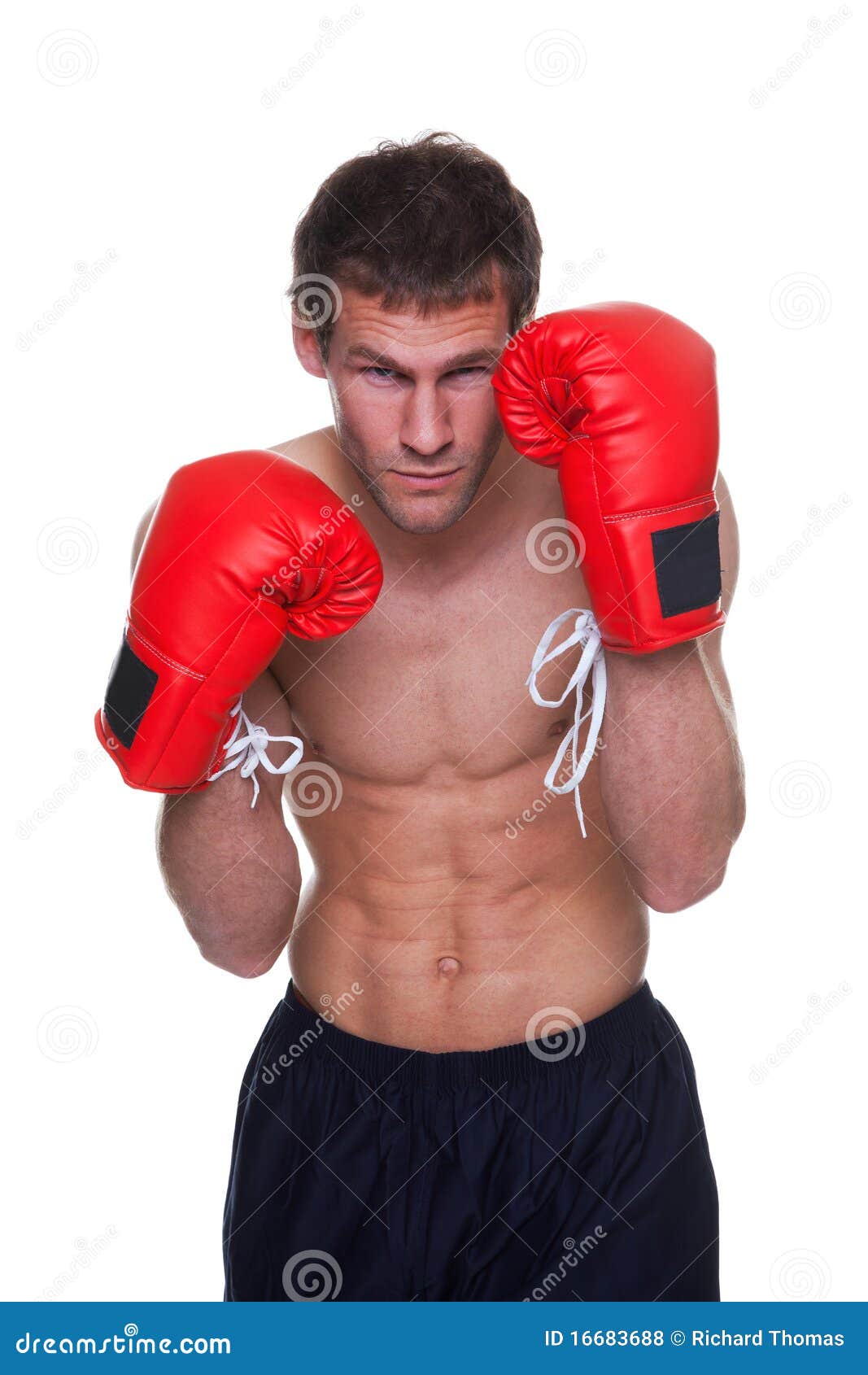 Male boxer isolated stock photo. Image of people, male - 16683688