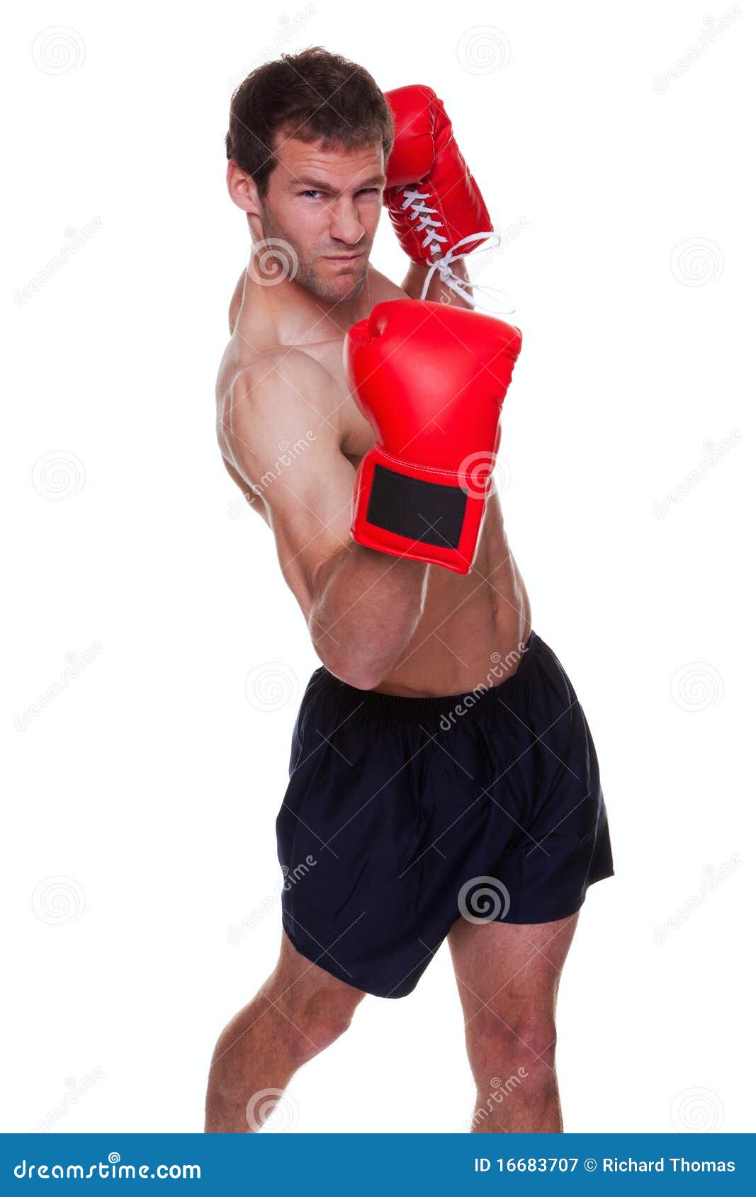 Male boxer isolated stock image. Image of sport, white - 16683707