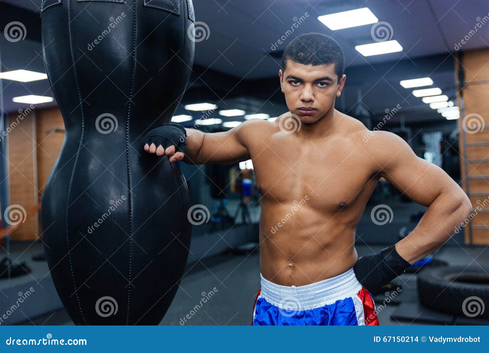 Male boxer standing in gym stock photo. Image of glove - 67150214
