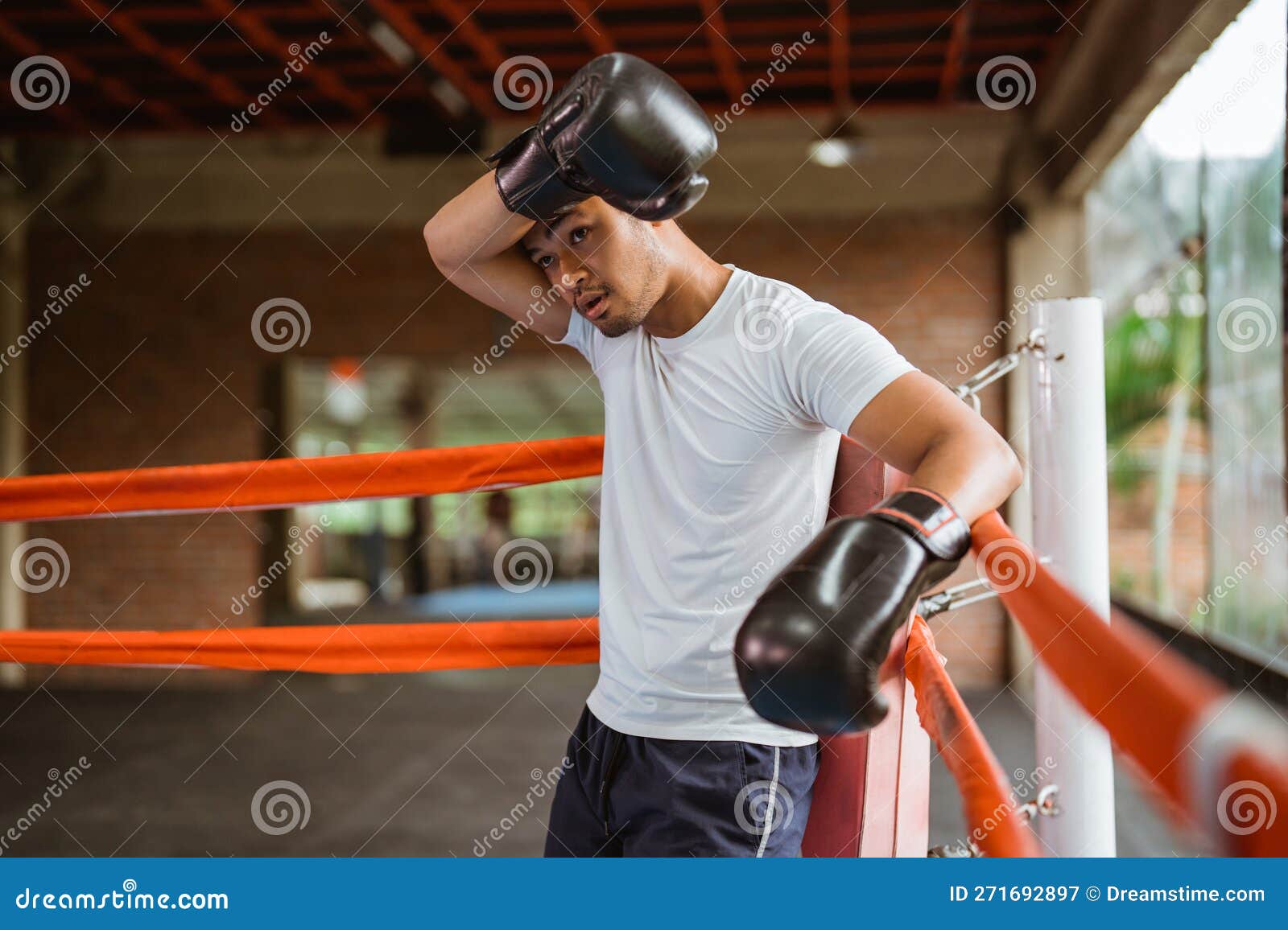 A Male Boxer Sweaping His Sweat Using the Black Boxing Gloves Stock ...