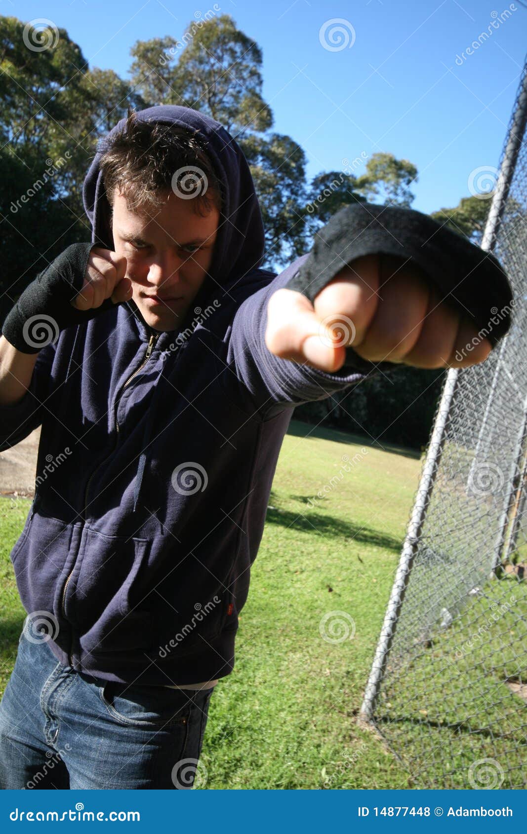 Male boxer training stock photo. Image of outside, details - 14877448