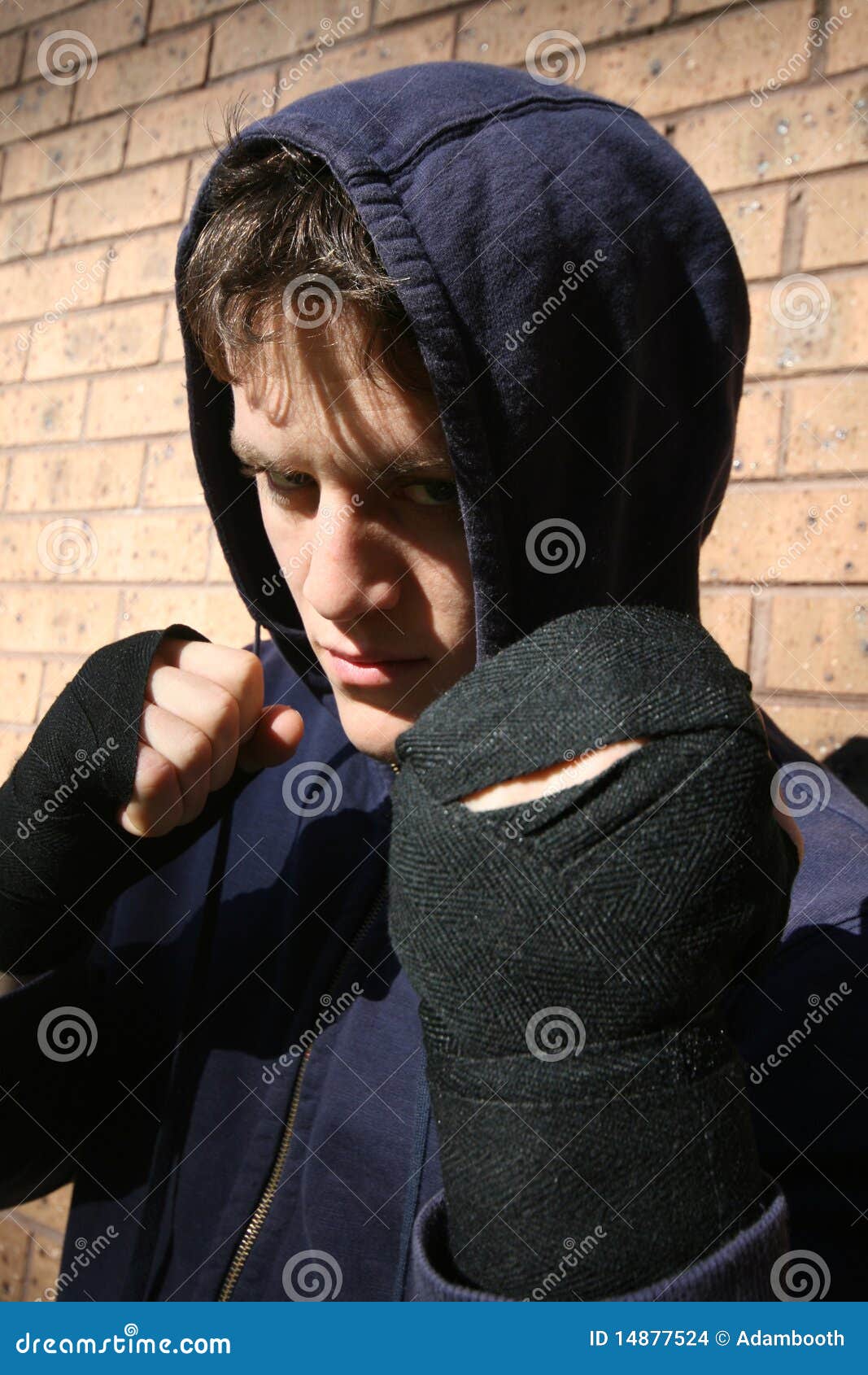 Male boxer training stock photo. Image of intimidating - 14877524