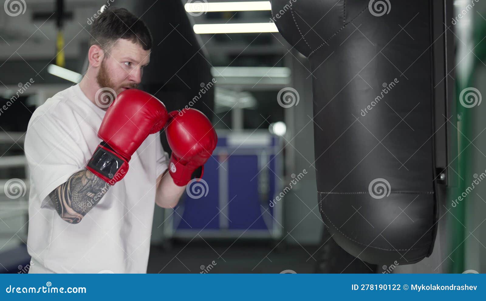 Process of Training a Male Boxer Stock Footage - Video of coaching ...