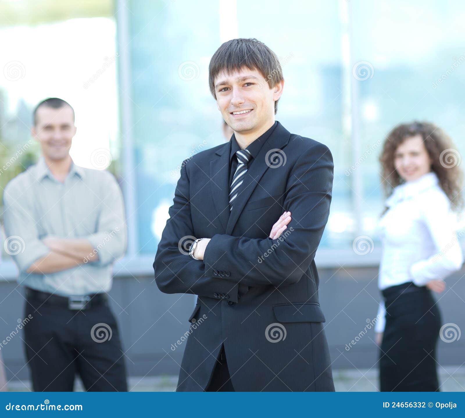 Male Business leader stock photo. Image of company, leadership - 24656332