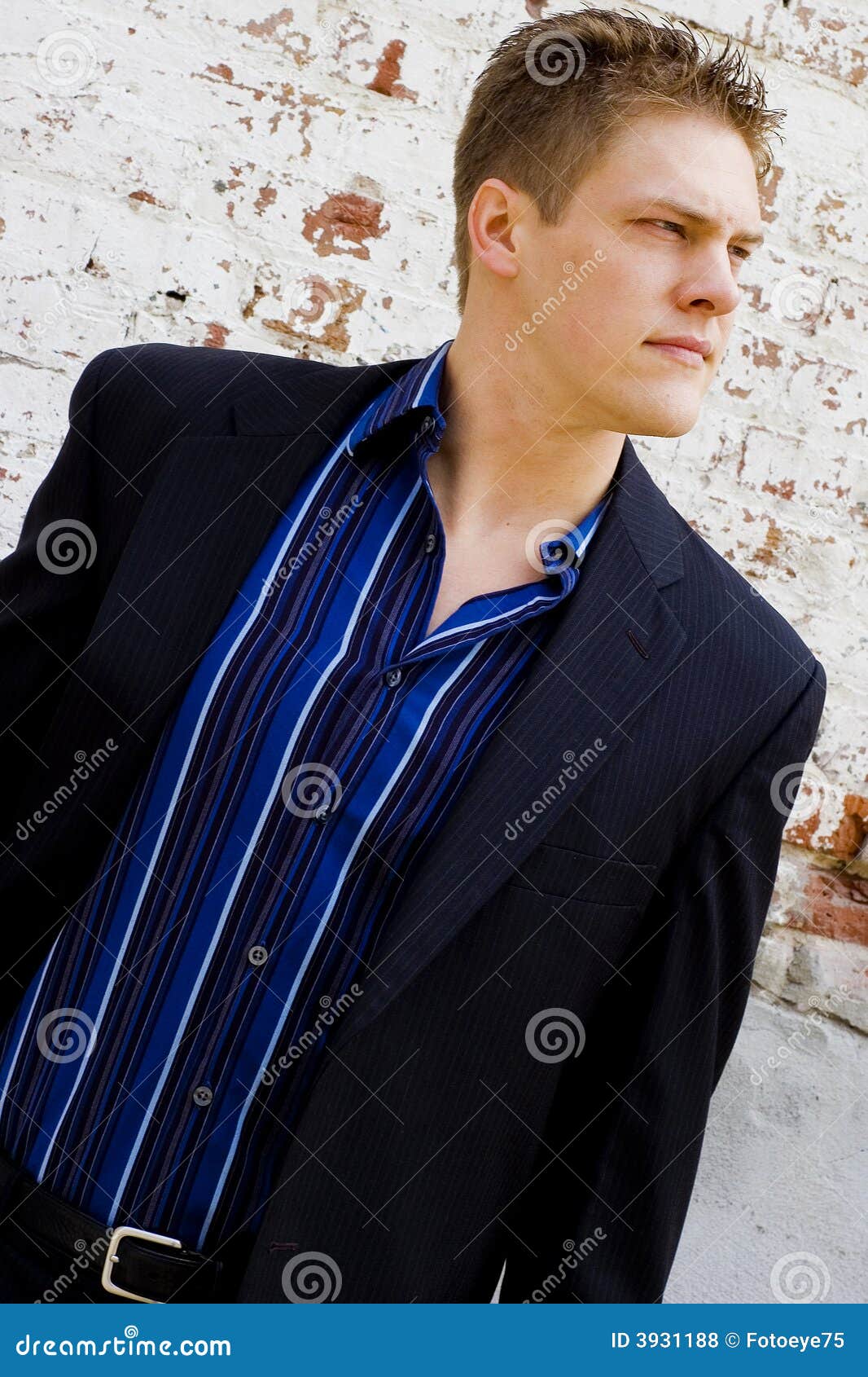 Male Business Model stock photo. Image of businessman - 3931188