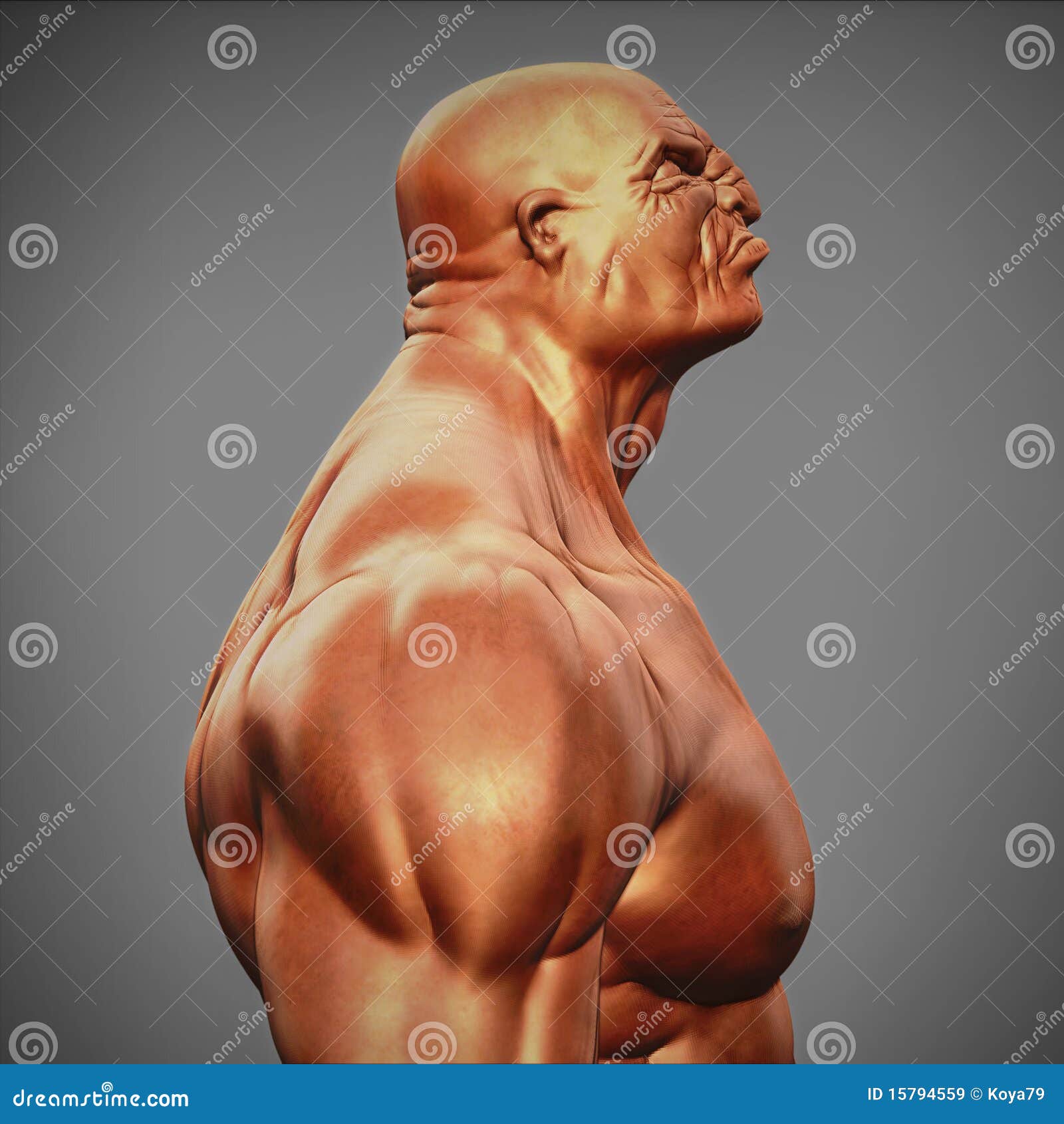 Male bust side view stock illustration. Illustration of anger - 15794559