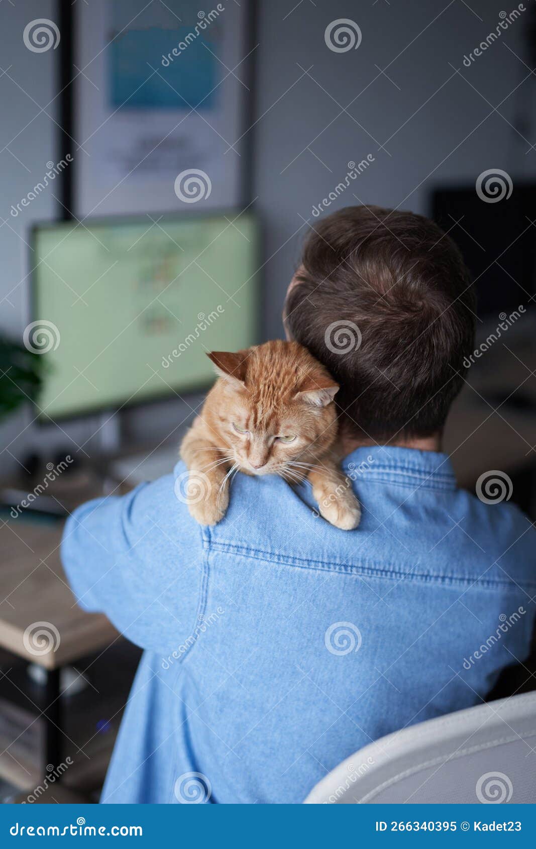 Software Developer Remotely Working from Home with Cat Sitting on His ...