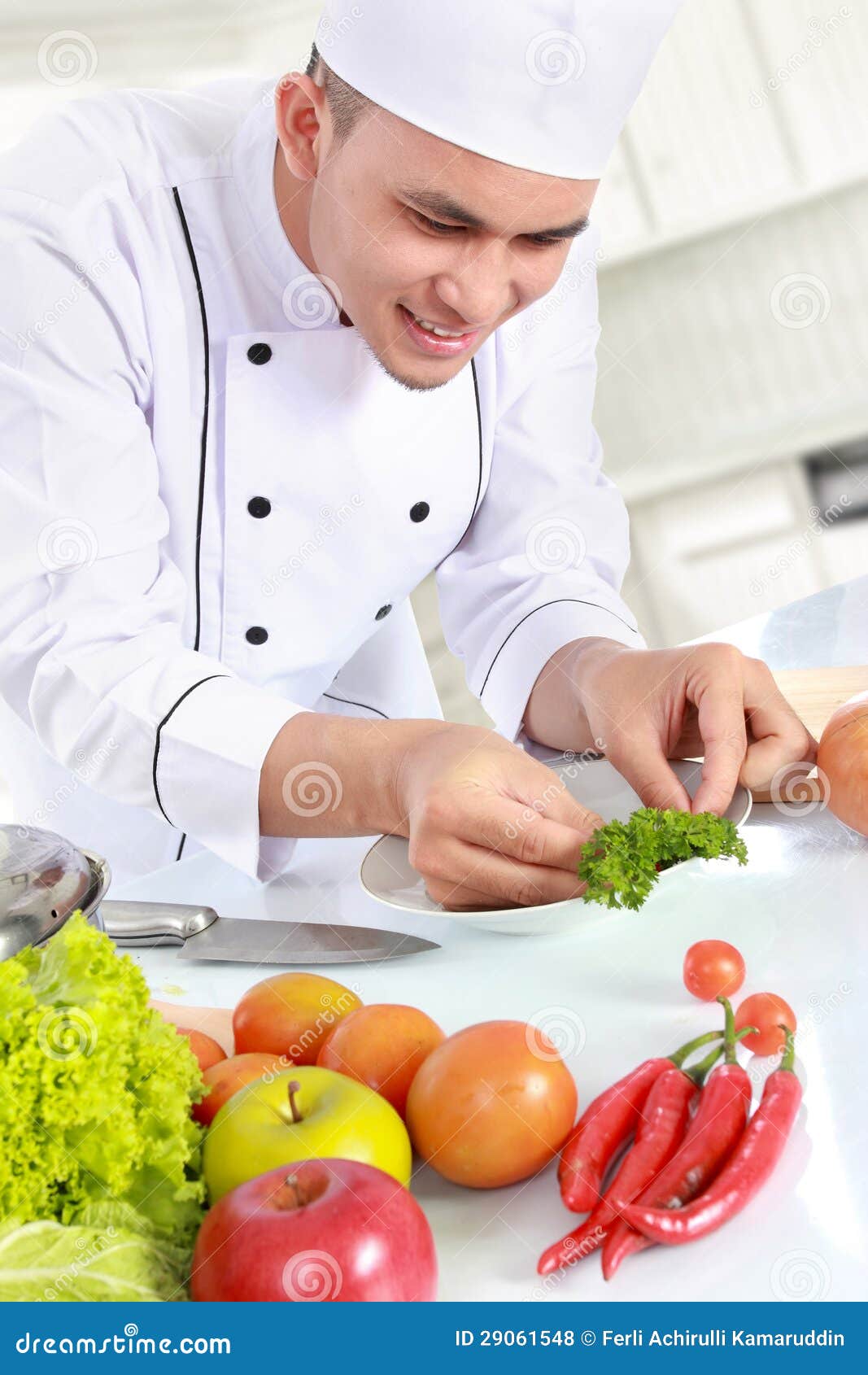 Male chef doing garnish stock photo. Image of life, decorate - 29061548