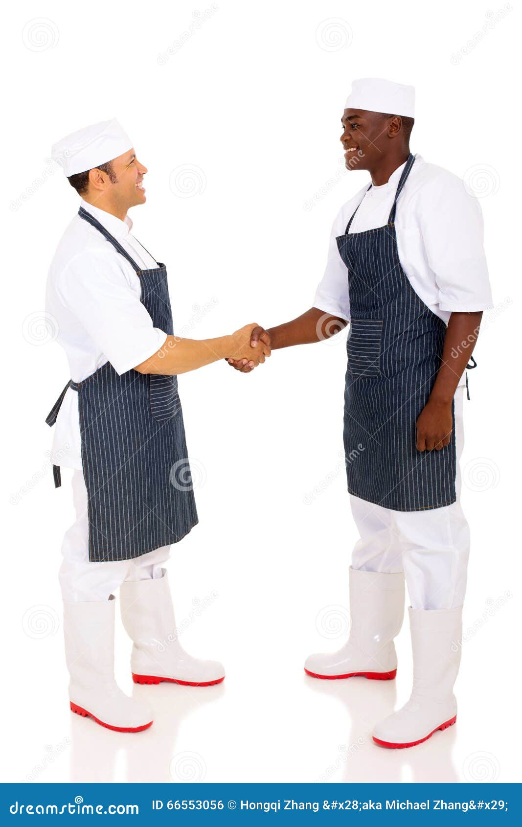 Male chefs hand shaking stock photo. Image of male, cutout - 66553056