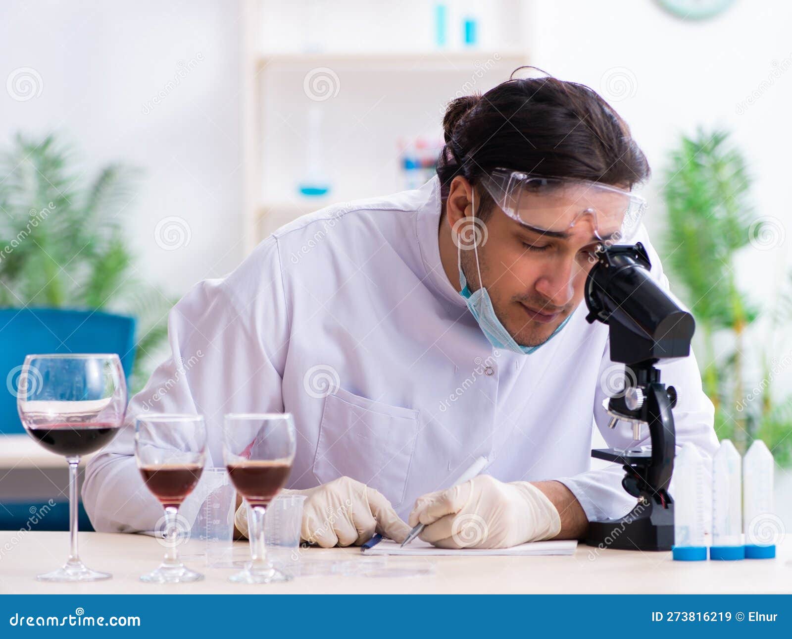 Male Chemist Examining Wine Samples at Lab Stock Image - Image of ...