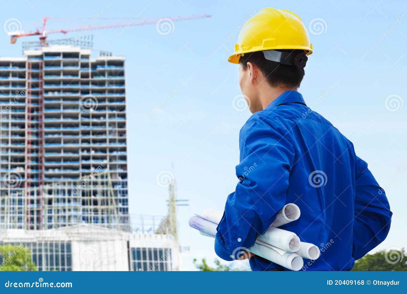 Male Contractor and Bulding Project Stock Photo - Image of paperwork ...