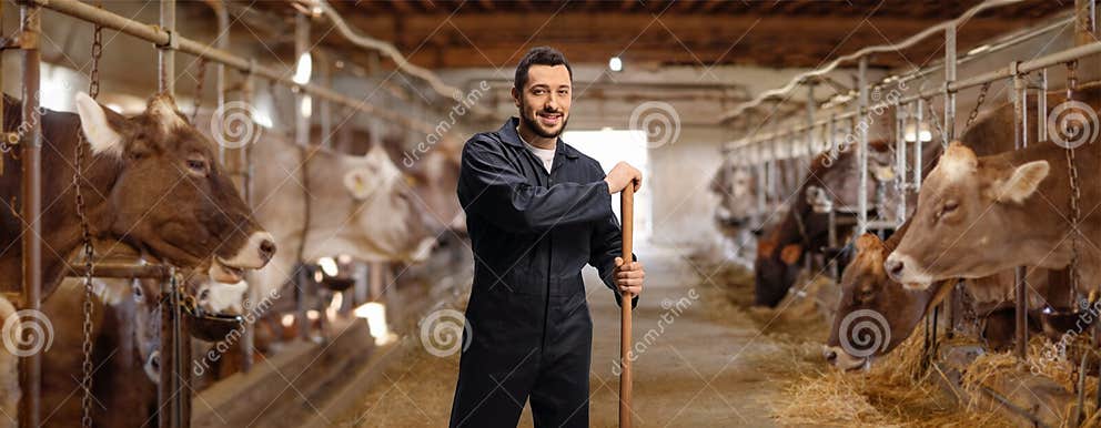 Male Cowshed Worker with a Tool Standing in a Barn Stock Photo - Image ...