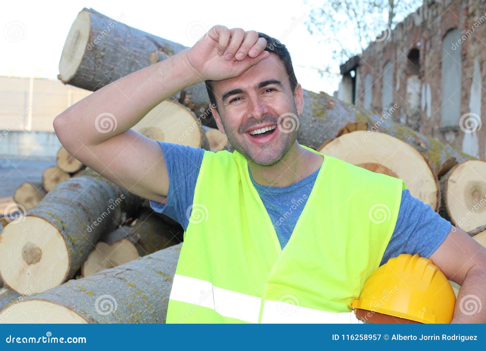 Male Cutting Trees in the Forest Stock Image - Image of chainsaw ...