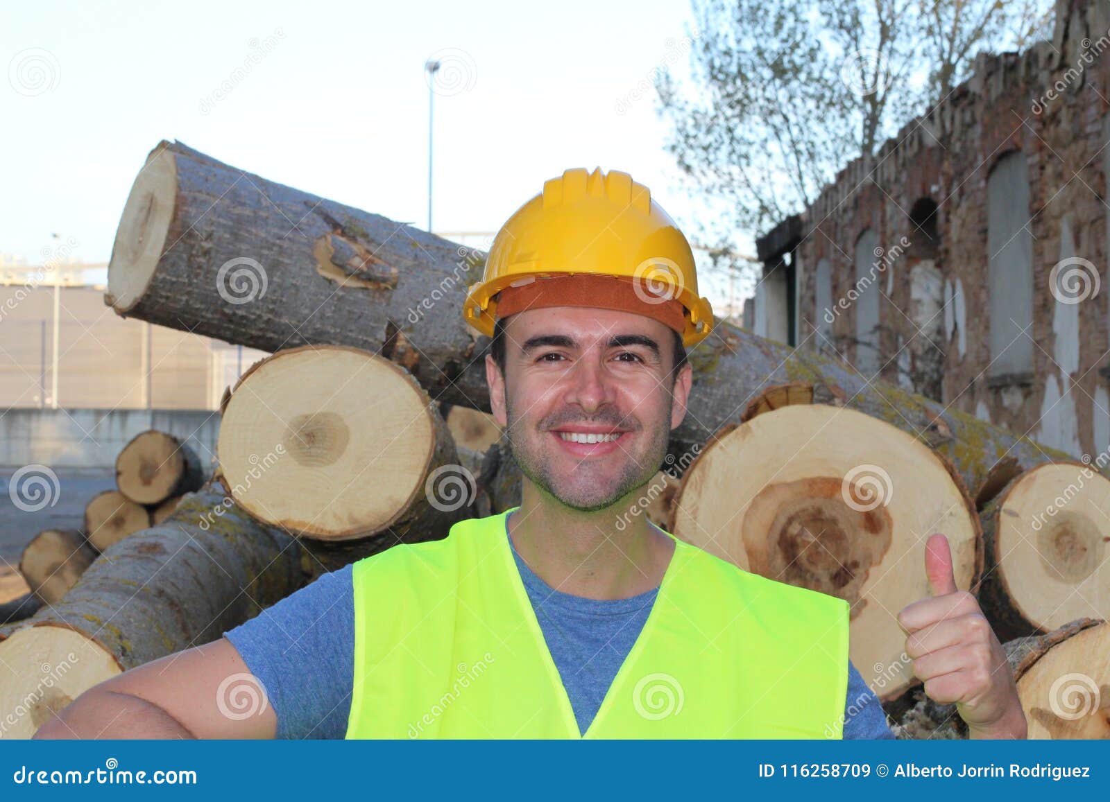 Male Cutting Trees in the Forest Stock Image - Image of person ...
