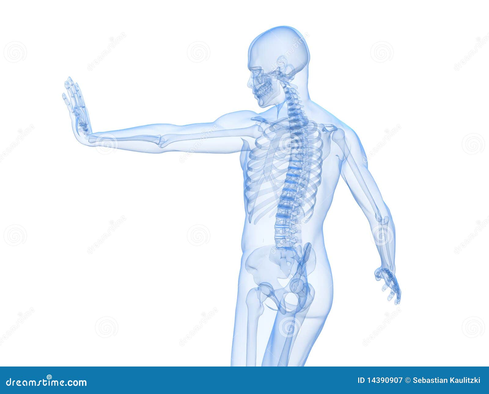 Male defense pose stock illustration. Illustration of immune - 14390907