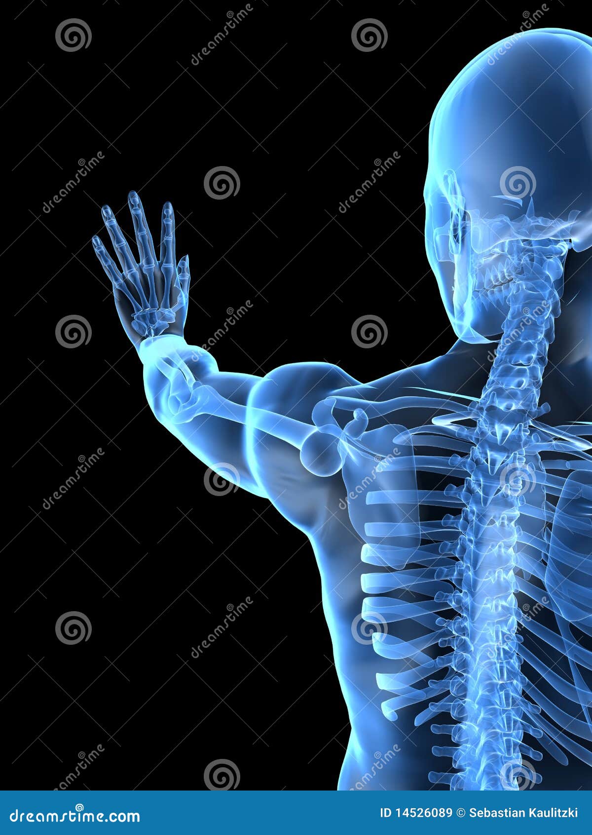 Male defense pose stock illustration. Illustration of defense - 14526089