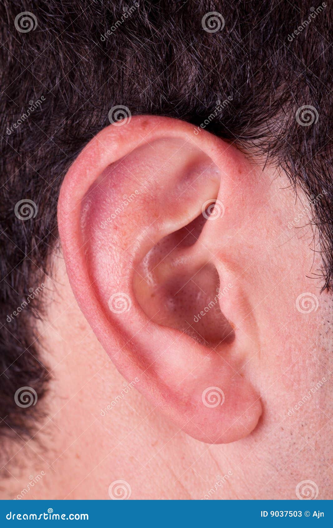 Male Ear stock image. Image of earlobe, closeup, bright - 9037503