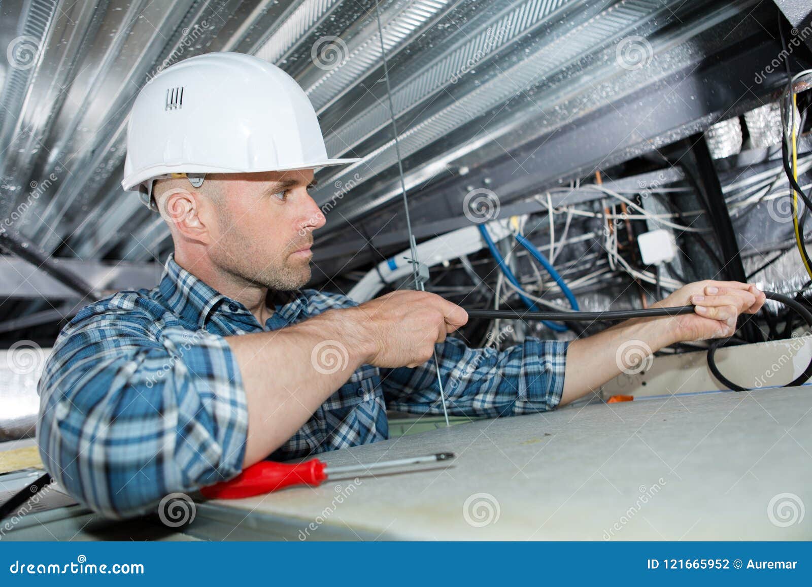 Male Electrician on Stepladder Installing Light on Ceiling Stock Photo ...