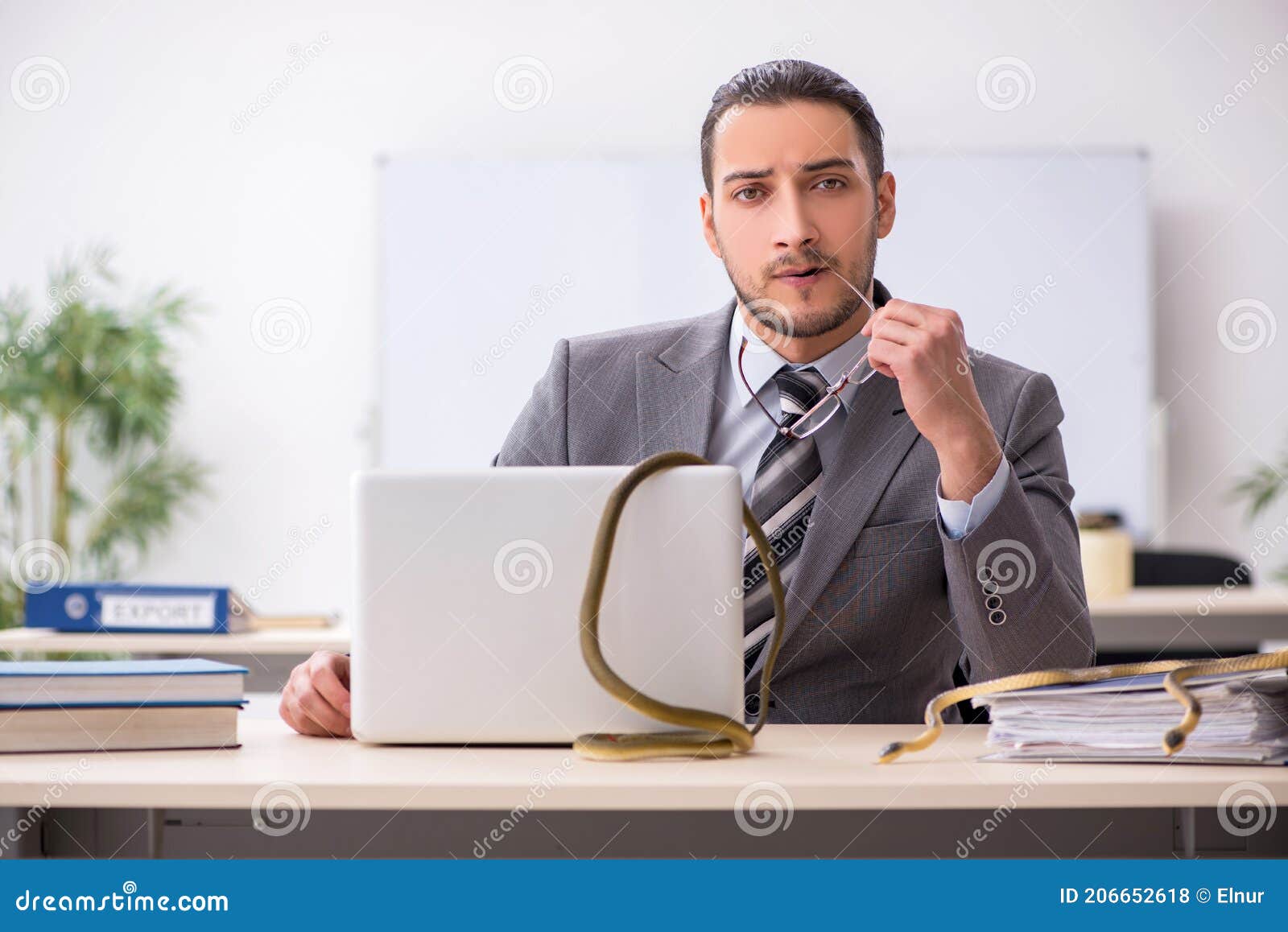 Young Male Employee with Snake in the Office Stock Photo - Image of ...
