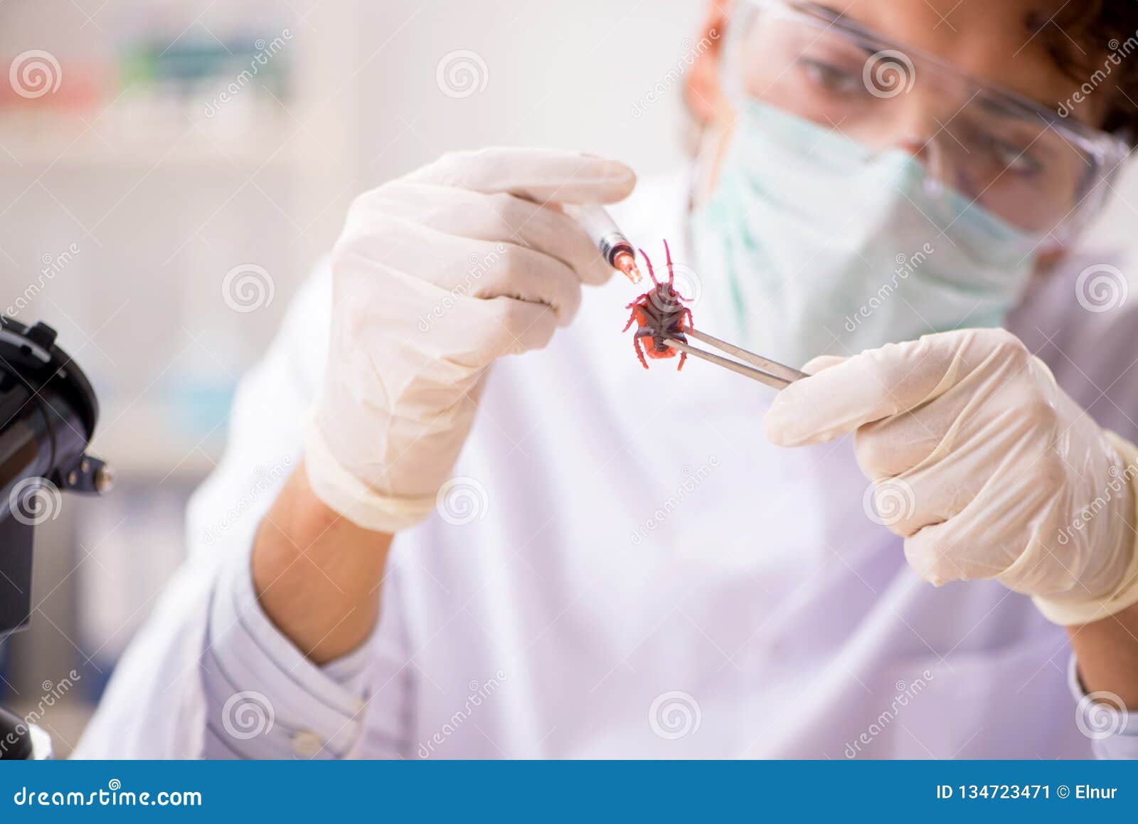 The Male Entomologist Working in the Lab on New Species Stock Image ...