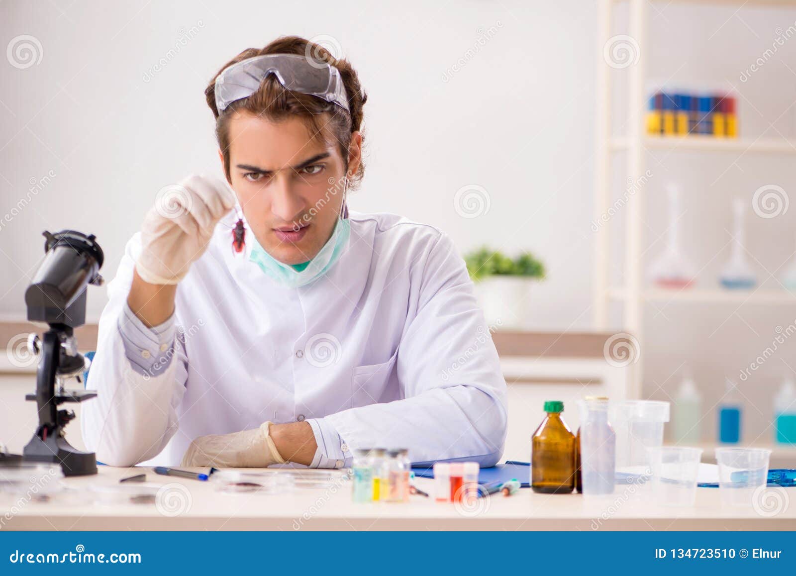 The Male Entomologist Working in the Lab on New Species Stock Photo ...
