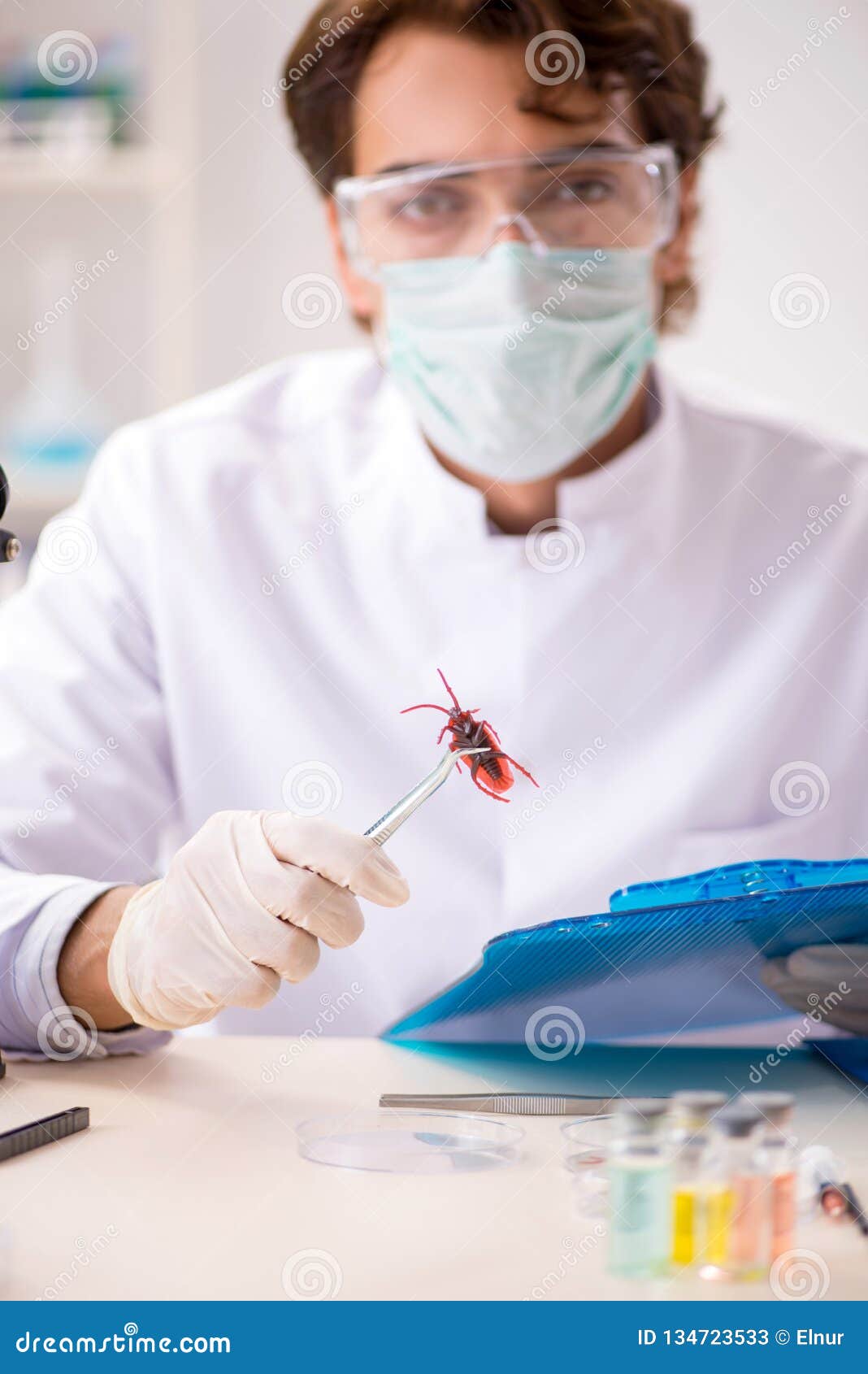The Male Entomologist Working in the Lab on New Species Stock Image ...