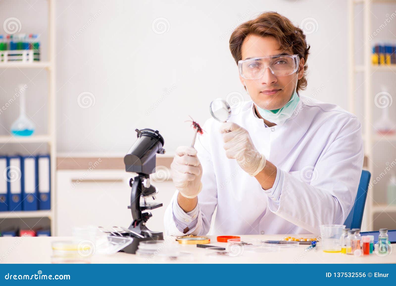 The Male Entomologist Working in the Lab on New Species Stock Photo ...
