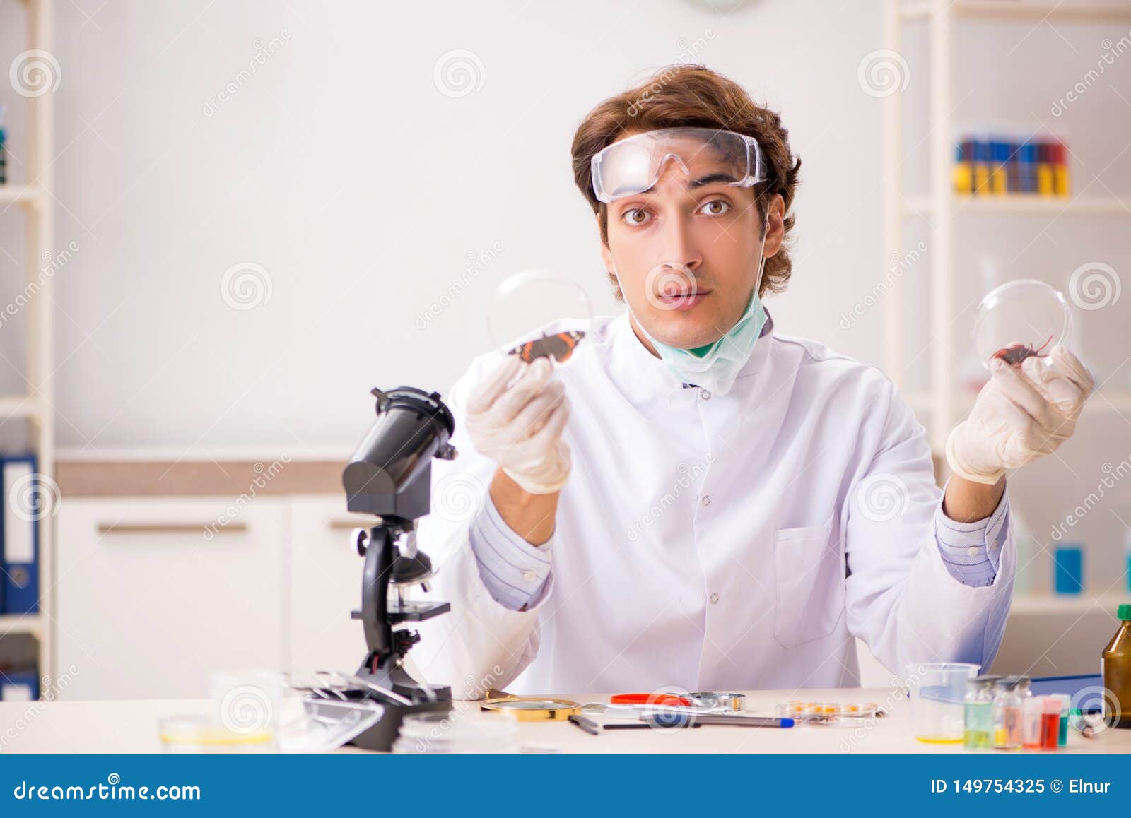 Male Entomologist Working in the Lab on New Species Stock Image - Image ...