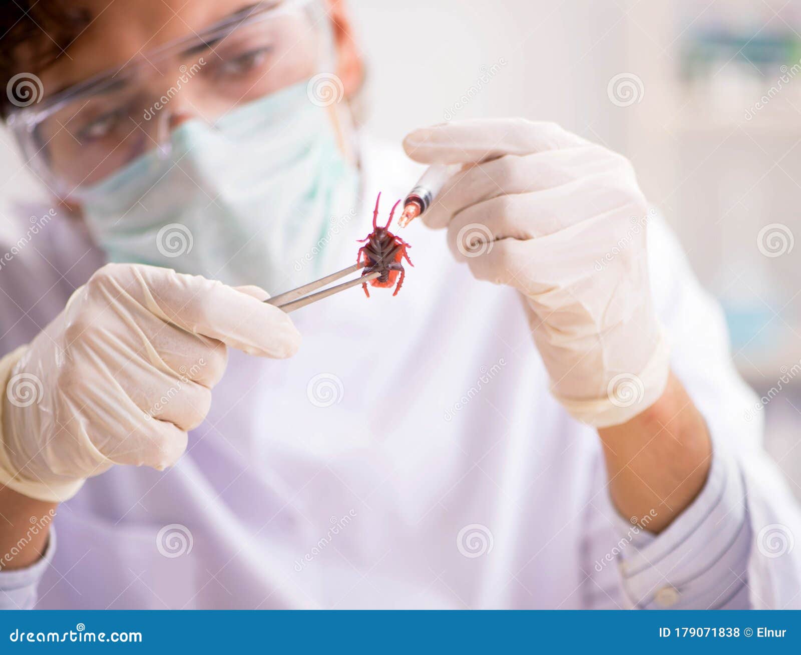 Male Entomologist Working in the Lab on New Species Stock Photo - Image ...