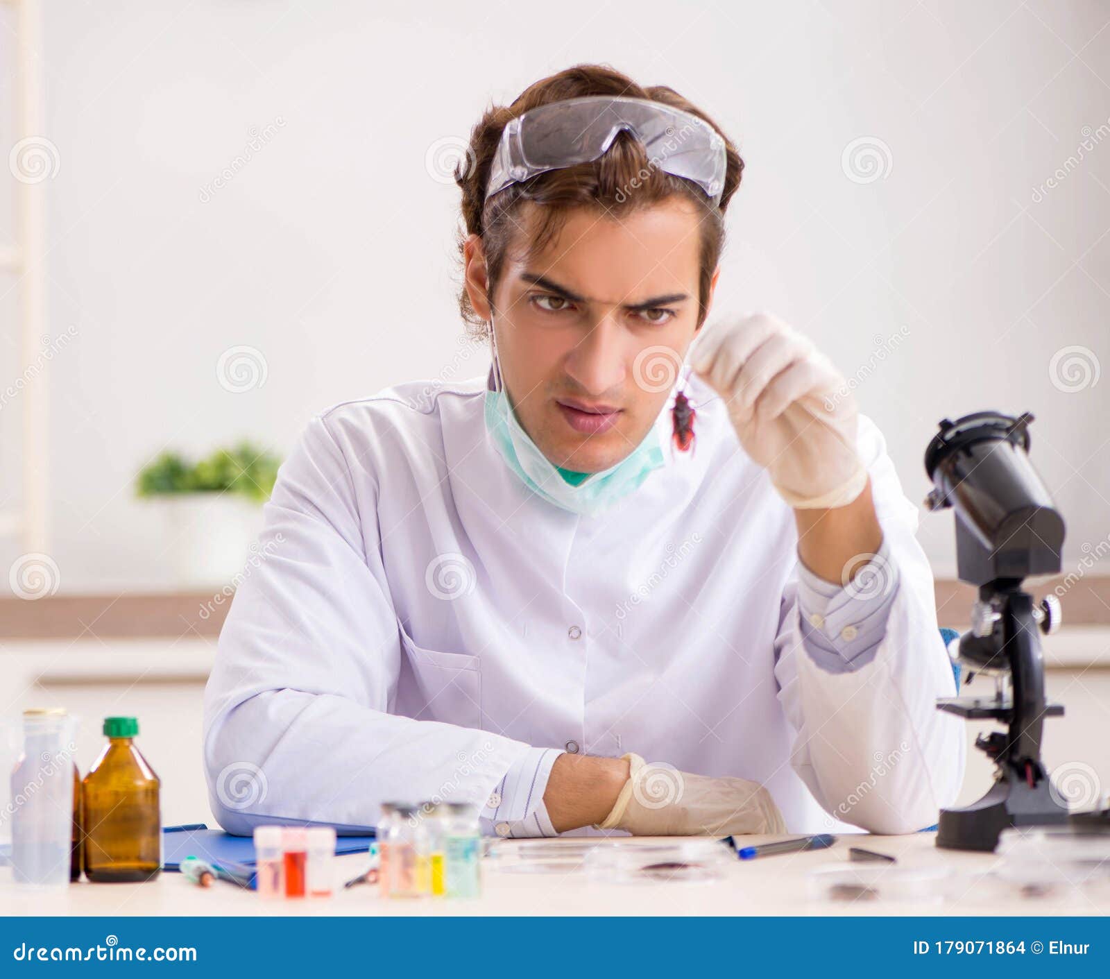 Male Entomologist Working in the Lab on New Species Stock Photo - Image ...