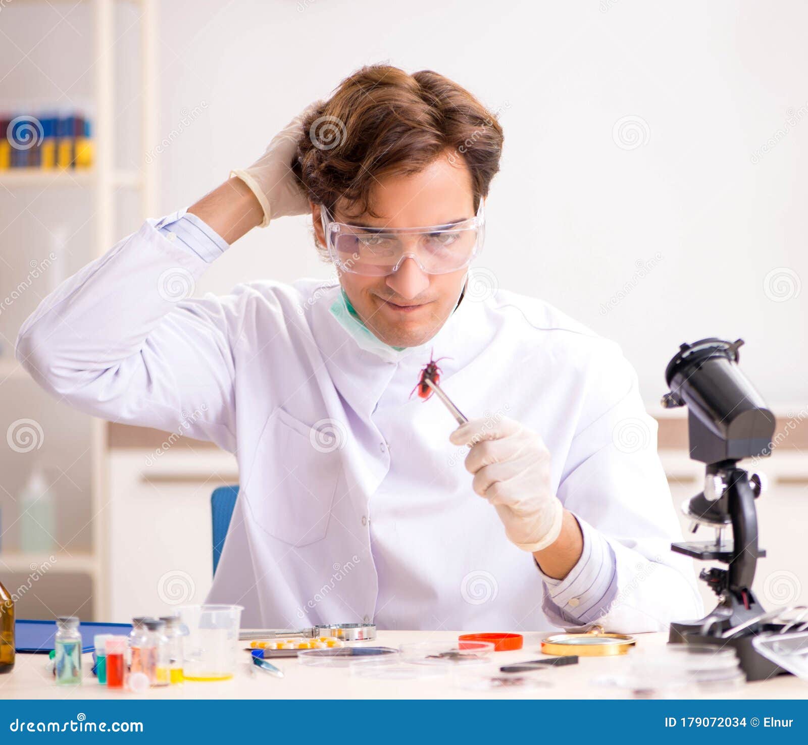 Male Entomologist Working in the Lab on New Species Stock Photo - Image ...