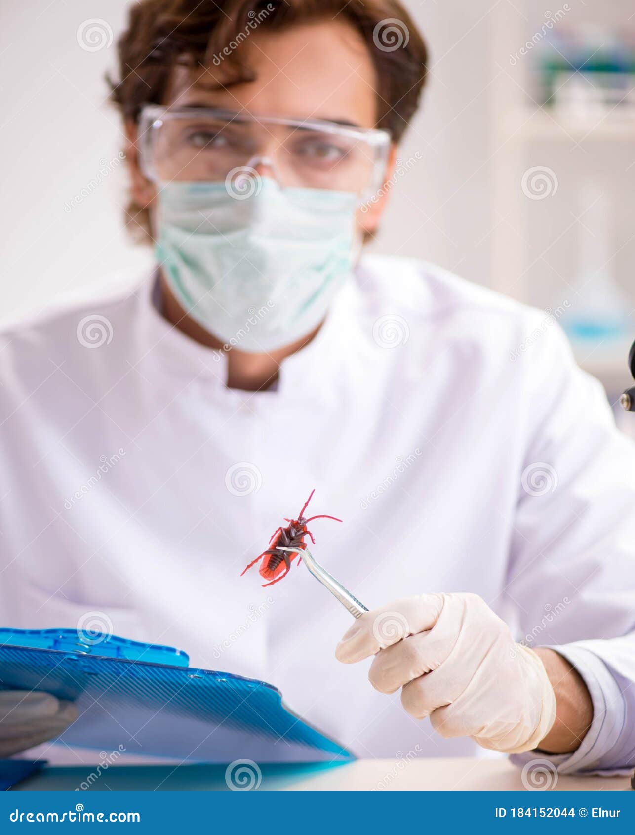 Male Entomologist Working in the Lab on New Species Stock Photo - Image ...
