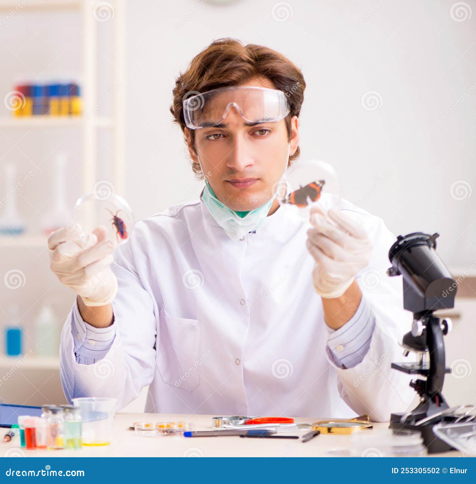 Male Entomologist Working in the Lab on New Species Stock Photo - Image ...