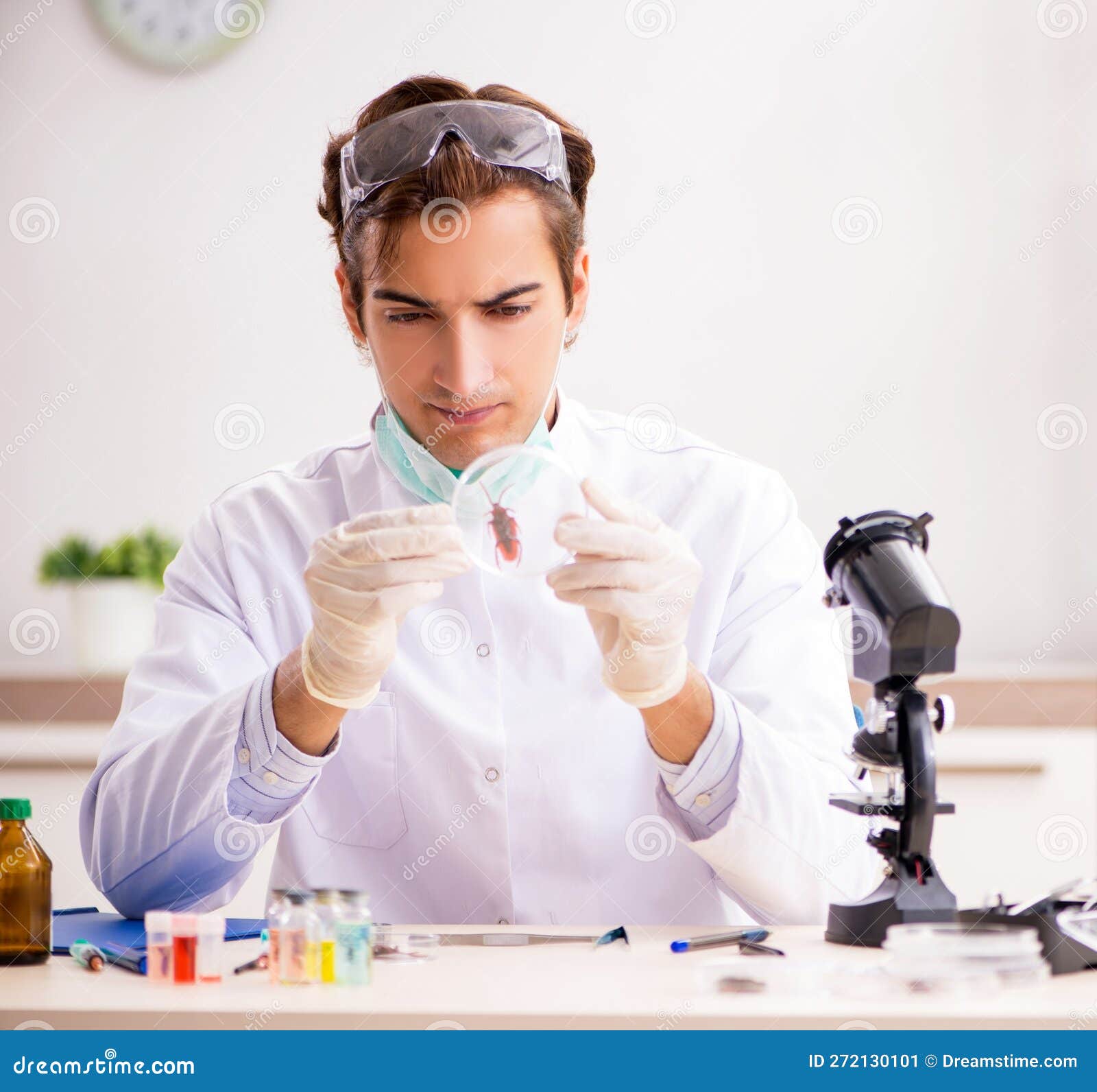 Male Entomologist Working in the Lab on New Species Stock Image - Image ...