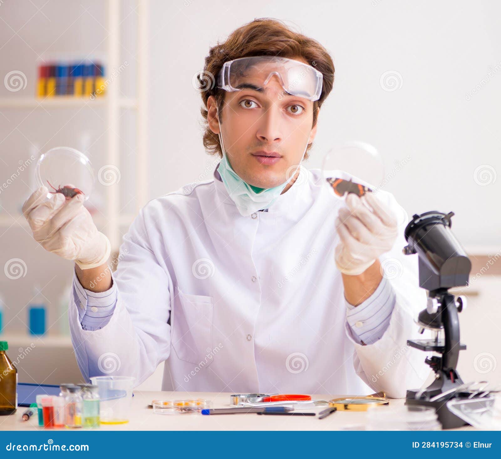 Male Entomologist Working in the Lab on New Species Stock Photo - Image ...