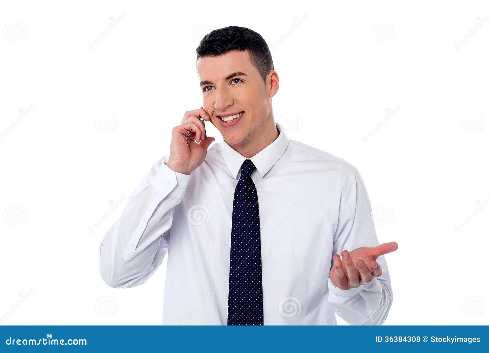 Male Executive Communicating with Client Stock Photo - Image of formal ...