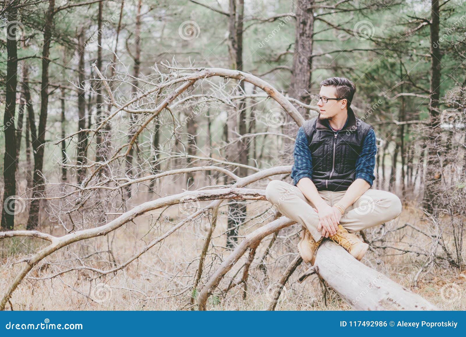 Male Explorer Rests in the Woods. Stock Photo - Image of explorer ...
