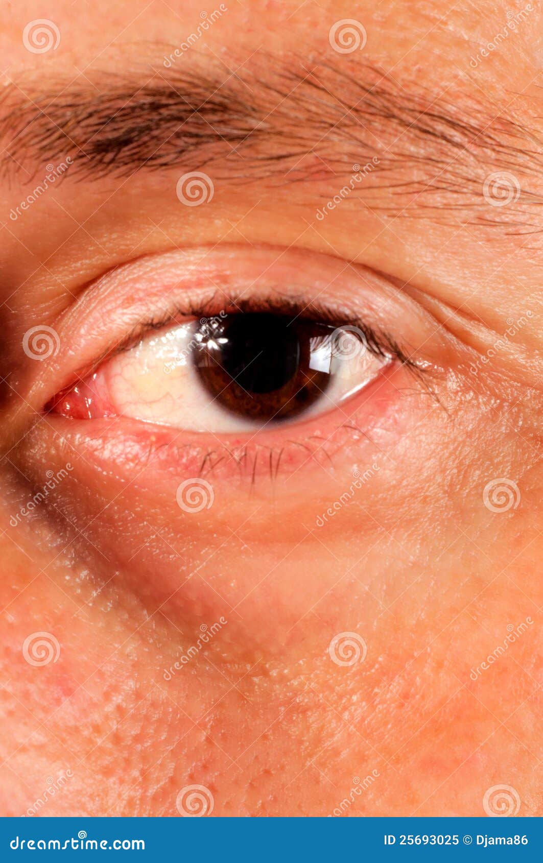 Male eye stock image. Image of observe, color, eyelid - 25693025