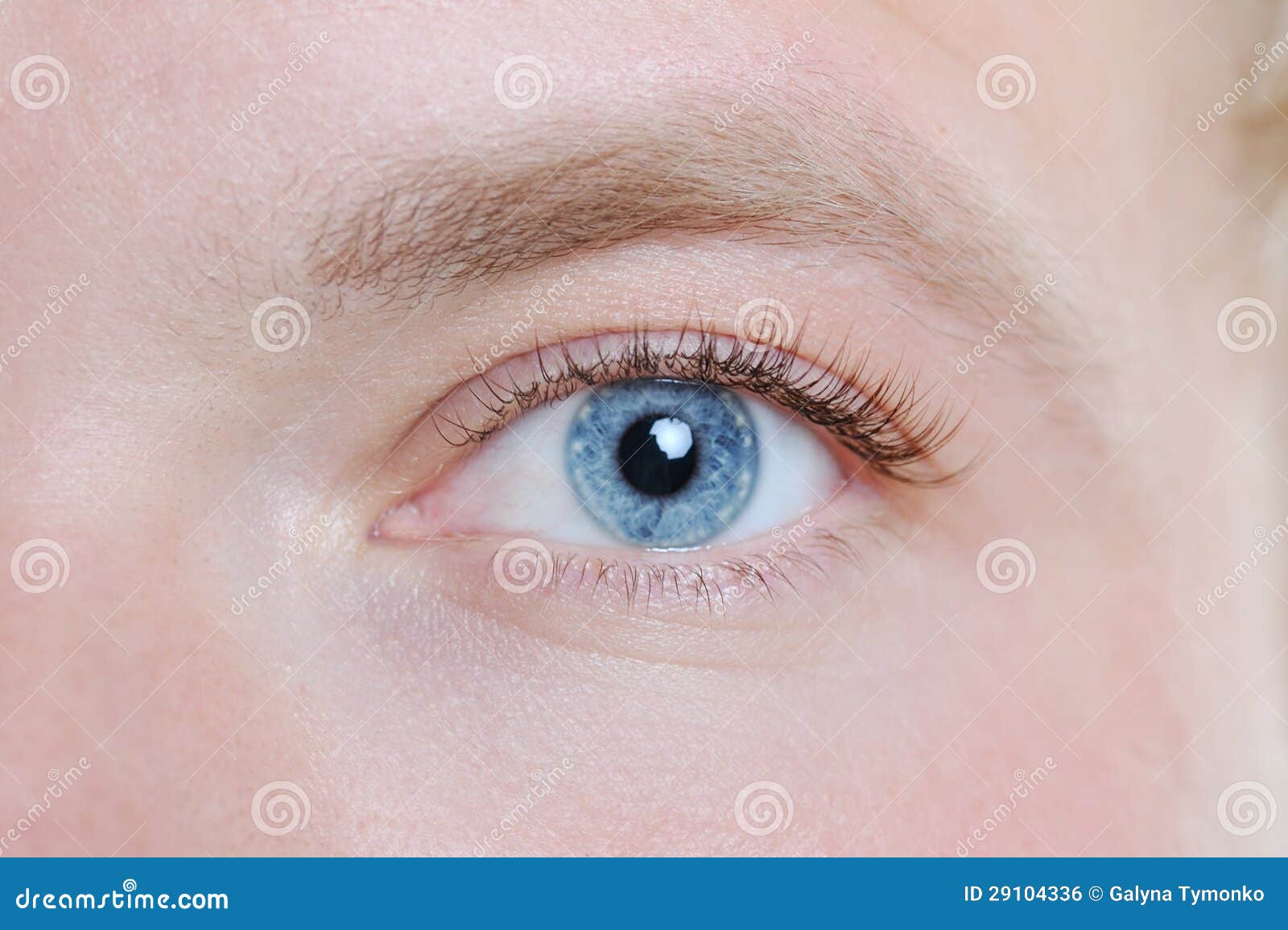 Male eye stock photo. Image of adult, face, head, macro - 29104336