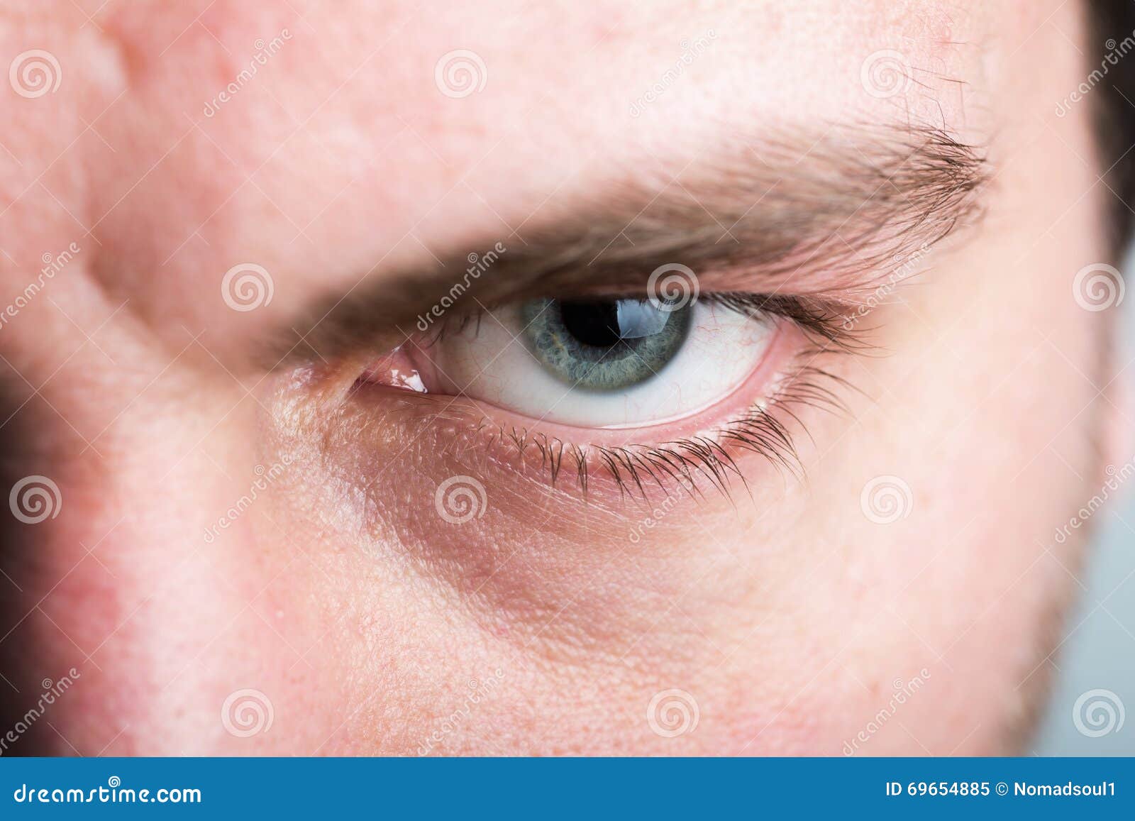 Male eye stock image. Image of people, brown, ophthalmology - 69654885