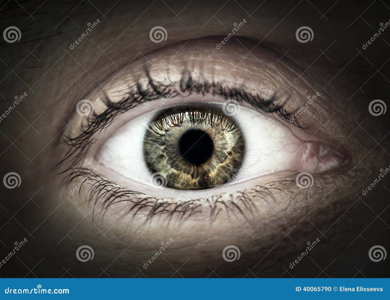 Male eye macro closeup stock photo. Image of eyeball - 40065790