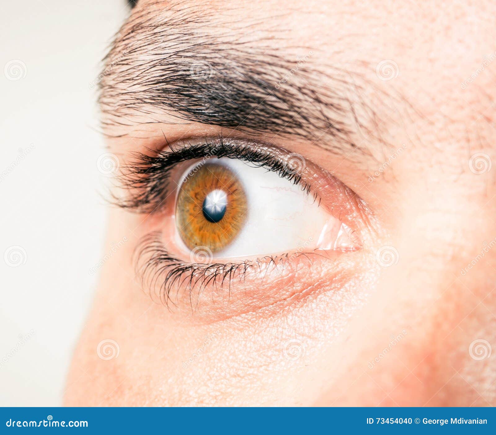 Male eye macro shot stock photo. Image of caucasian, shot - 73454040