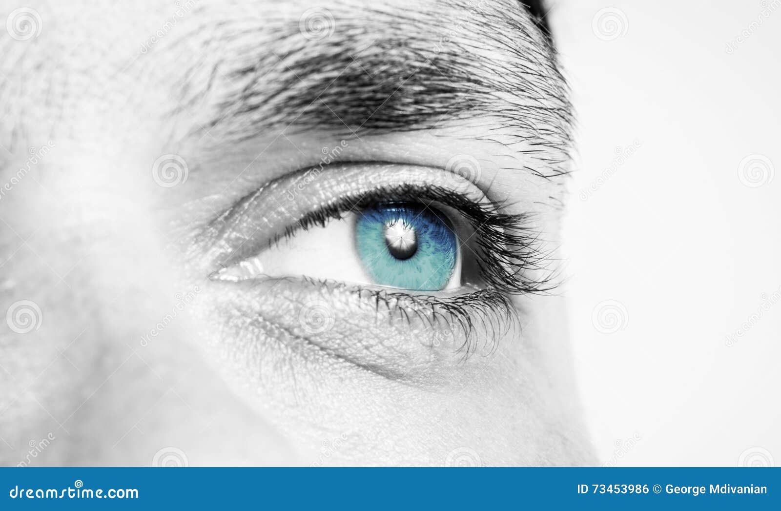 Male eye shot stock photo. Image of close, attractive - 73453986