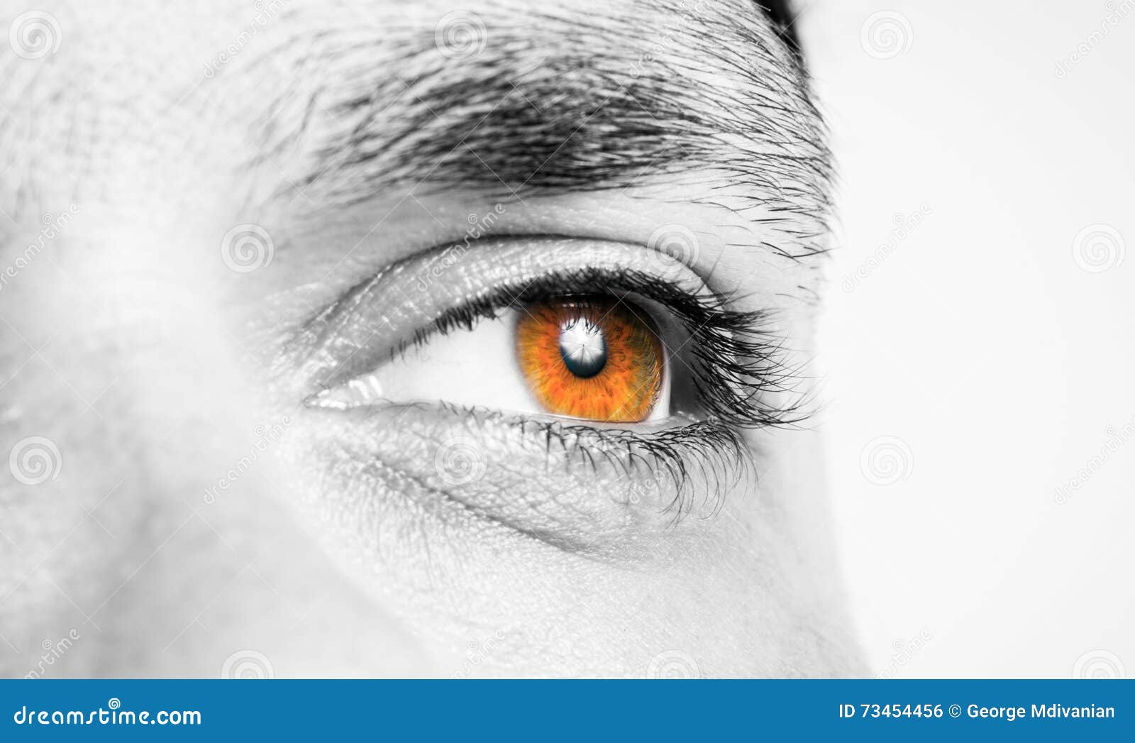 Male eye shot stock photo. Image of view, style, white - 73454456