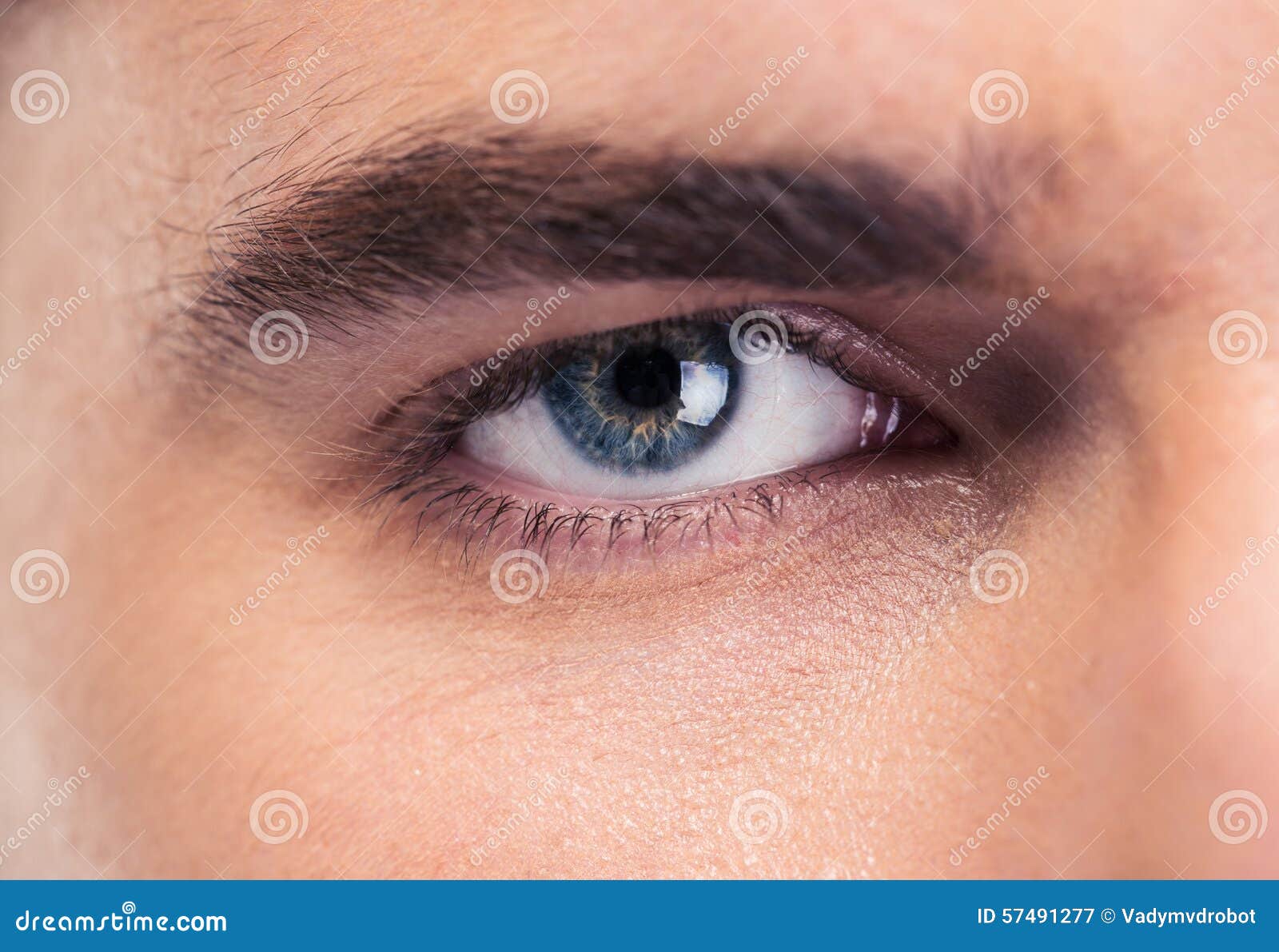 Male eyes stock image. Image of natural, clean, eyelid - 57491277