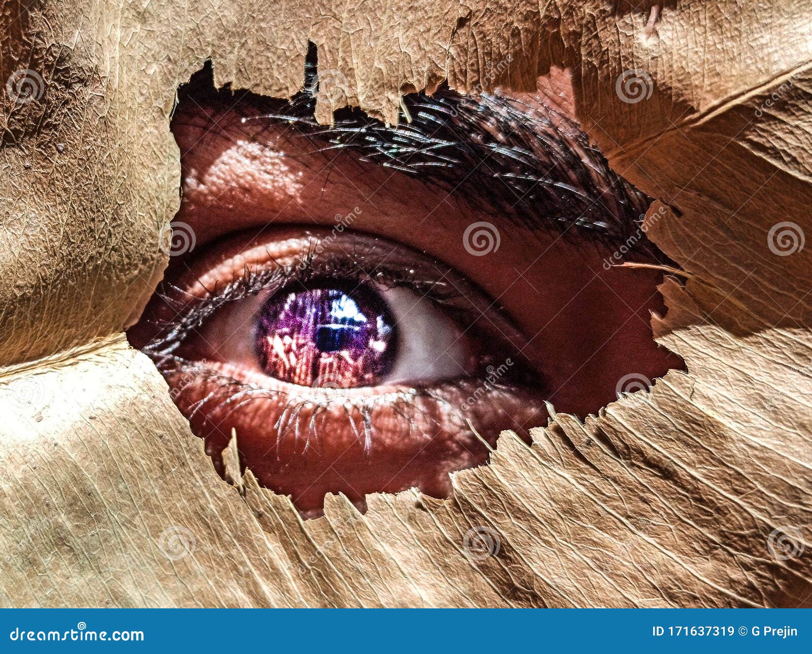 Male Eyes Creative Photography with Colour Editing Stock Image - Image ...